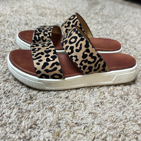 MIA | Shoes | Mia Leopard Print Slide Sandals | Poshmark